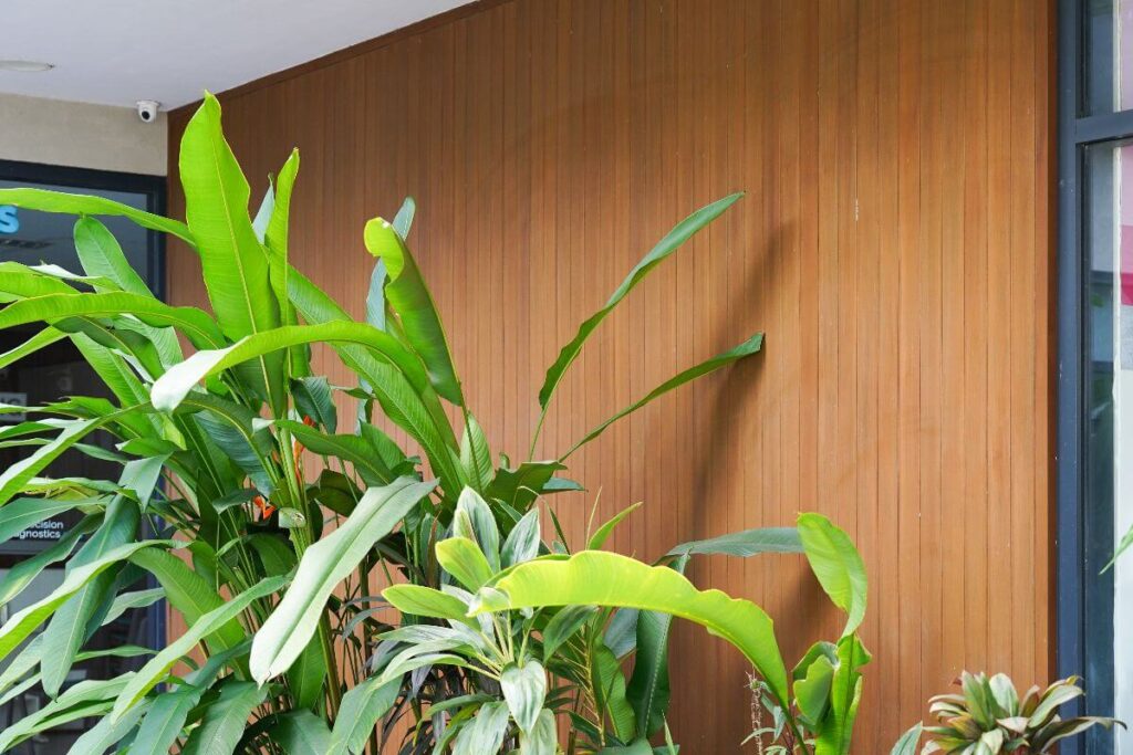 Top Trends in Decorative Wall Panels Philippines